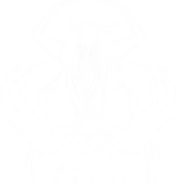 OBSCURED VISION | Funkipedia Mods Wiki | Fandom