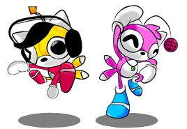 Sonic.EXE: BERUN | Funkipedia Mods Wiki | Fandom