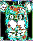 bear5 | Funkipedia Mods Wiki | Fandom