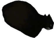 Maxwell the Cat | Funkipedia Mods Wiki | Fandom