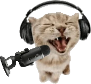 Rap cat | Funkipedia Mods Wiki | Fandom