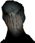 Vs. Pukeko | Funkipedia Mods Wiki | Fandom