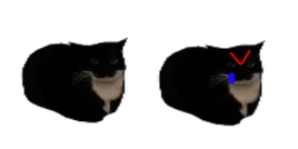 Maxwell the Cat | Funkipedia Mods Wiki | Fandom