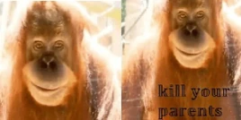 FNF NEW GORILLA | Funkipedia Mods Wiki | Fandom