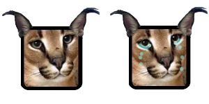 Raise A Funkin Floppa' | Funkipedia Mods Wiki | Fandom