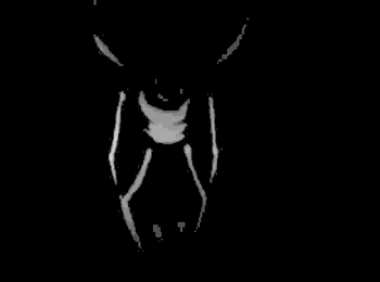 Untitled No More Innocence Mod | Funkipedia Mods Wiki | Fandom