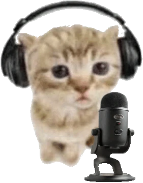 Gif De Gato Dubstep Cat Dubstep GIFs | Tenor