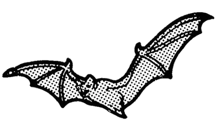 Bats | Friday the 13th Wiki | Fandom