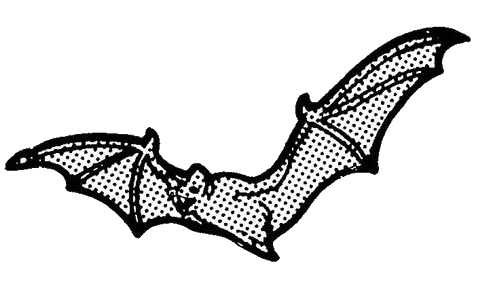 Bats | Friday the 13th Wiki | Fandom