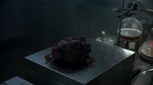 Jason's heart | Friday the 13th Wiki | Fandom