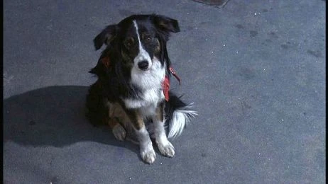 Toby | Friday the 13th Wiki | Fandom