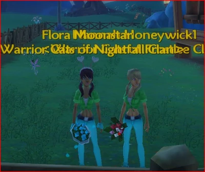 Memories of Free Realms | Friends of Free Realms Wiki | Fandom