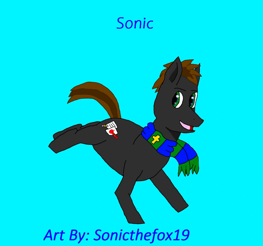 Sonic | My Little Pony: Friendship is Magic Fanon Wiki | Fandom