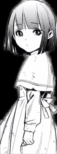 Fern | Wiki Frieren | Fandom