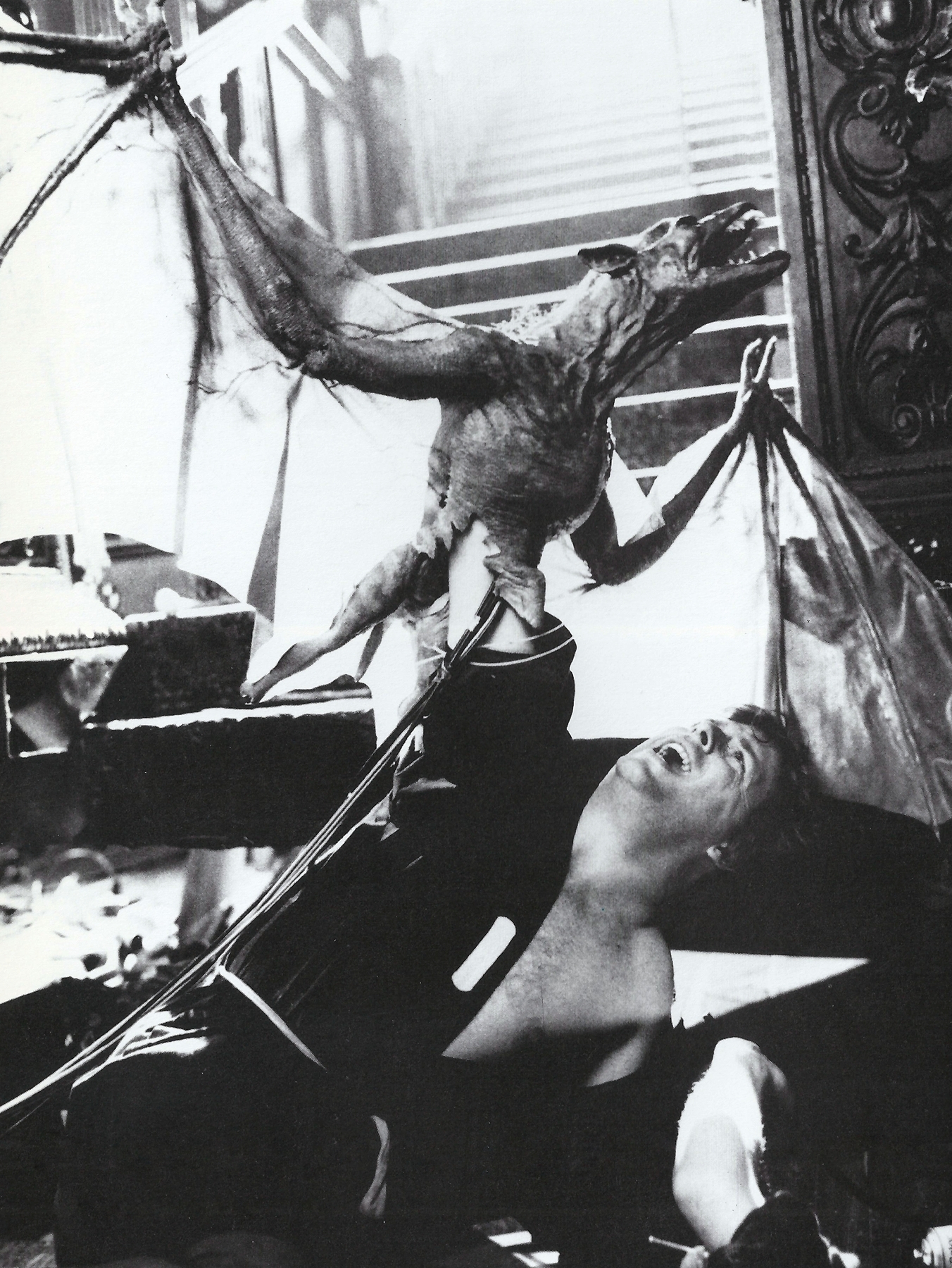 Vampire Bat FX | Fright Night Wiki | Fandom