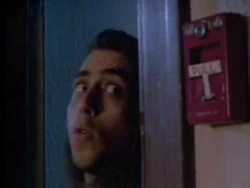 Fritzy | Fright Night Wiki | Fandom