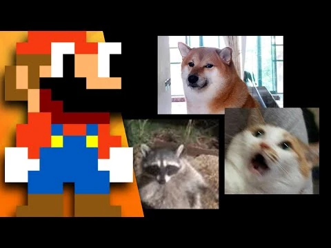Mario Reaction Animals Memes | Wiki Friki The Animations | Fandom