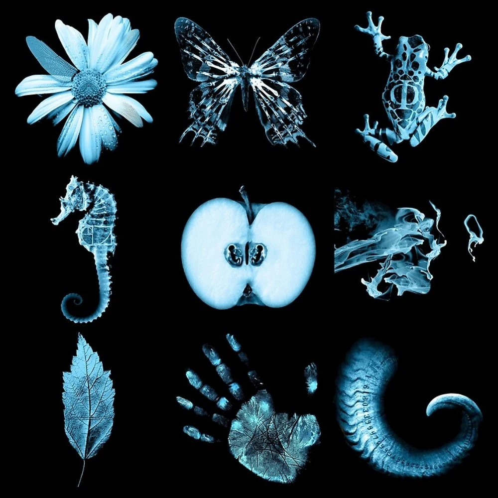 Glyphs and Cyphers | FringeWiki | Fandom