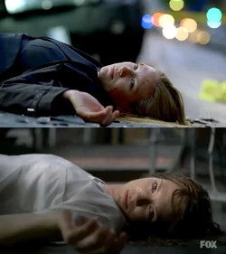 Entrada | Fringe Wiki | Fandom