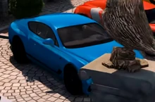 Morello | FrIzErIs Wiki | Fandom