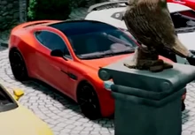 Morello | FrIzErIs Wiki | Fandom