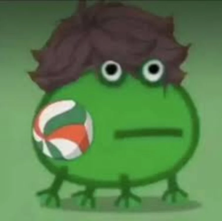 Oikawa Ze Frog | Frog Cult Wiki | Fandom