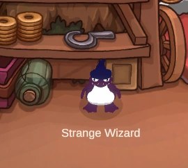 Strange Wizard | Frog Paradise Wiki | Fandom
