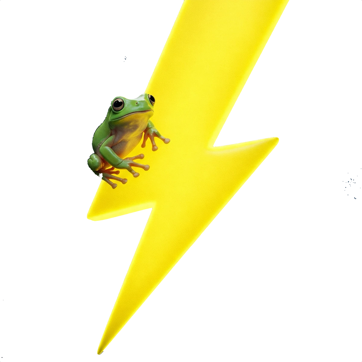 Frog Kings | FROGS Wiki | Fandom