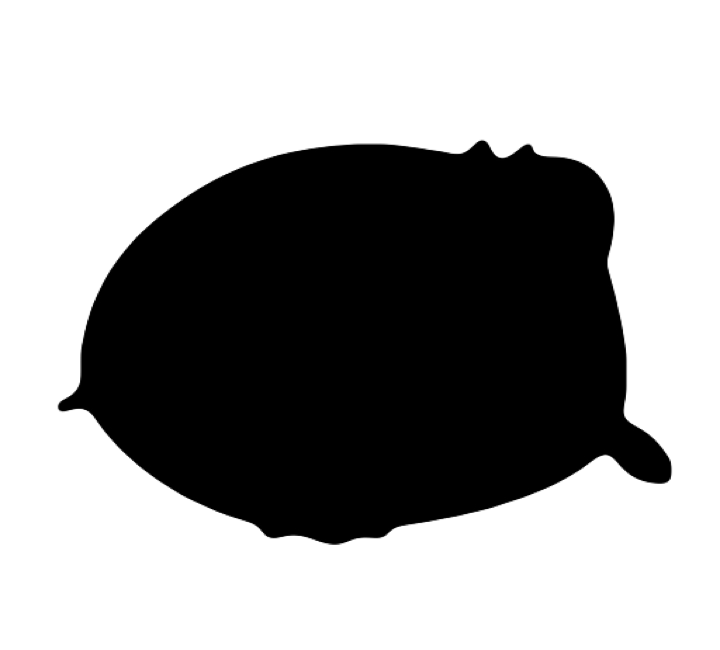 Regras da Wiki | FROGS Wiki | Fandom