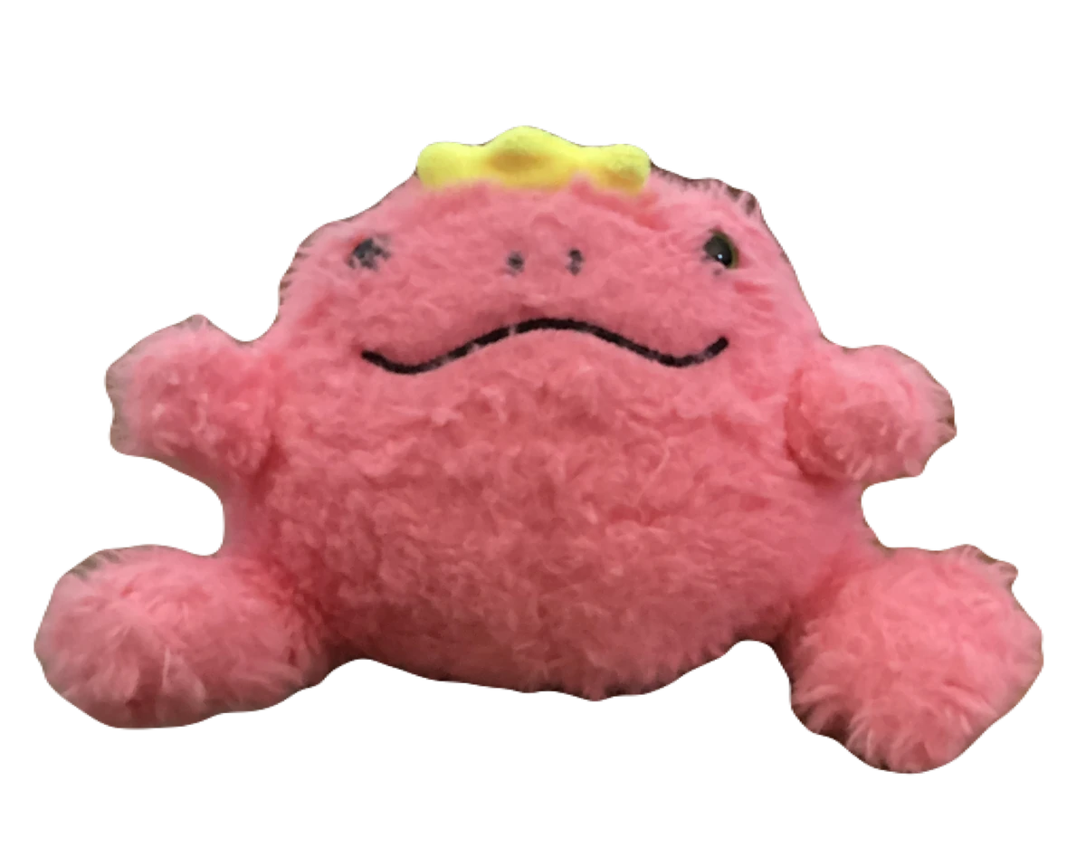 Sá Frog | FROGS Wiki | Fandom