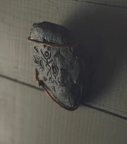 Talismans | From Wiki | Fandom
