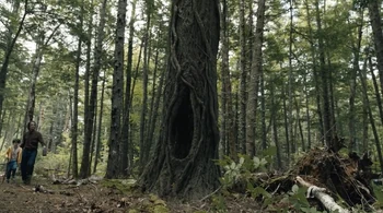 Farway Trees | From Wiki | Fandom