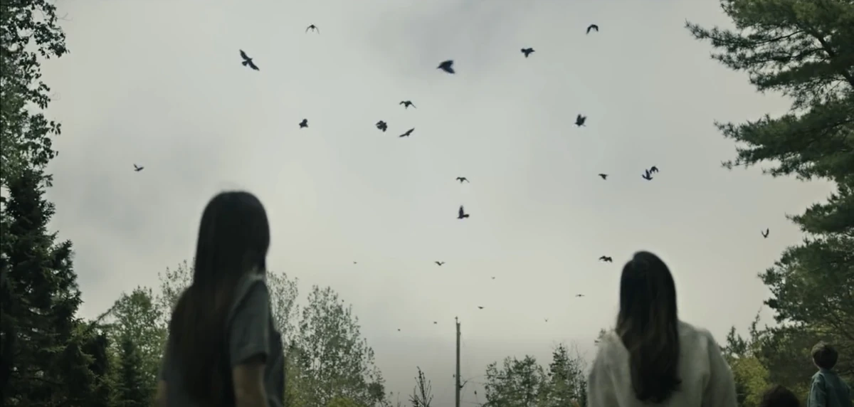 Crows | From Wiki | Fandom