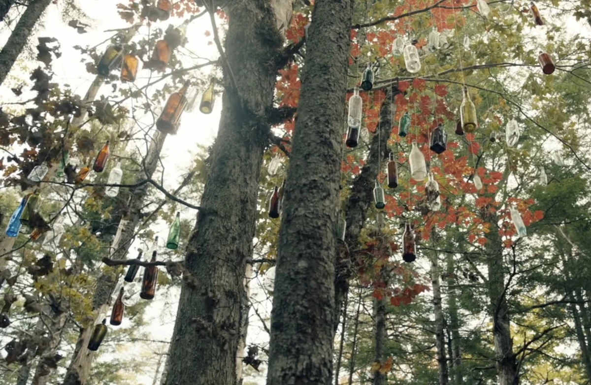 Bottle Trees | From Wiki | Fandom