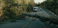 Fallen Tree | From Wiki | Fandom