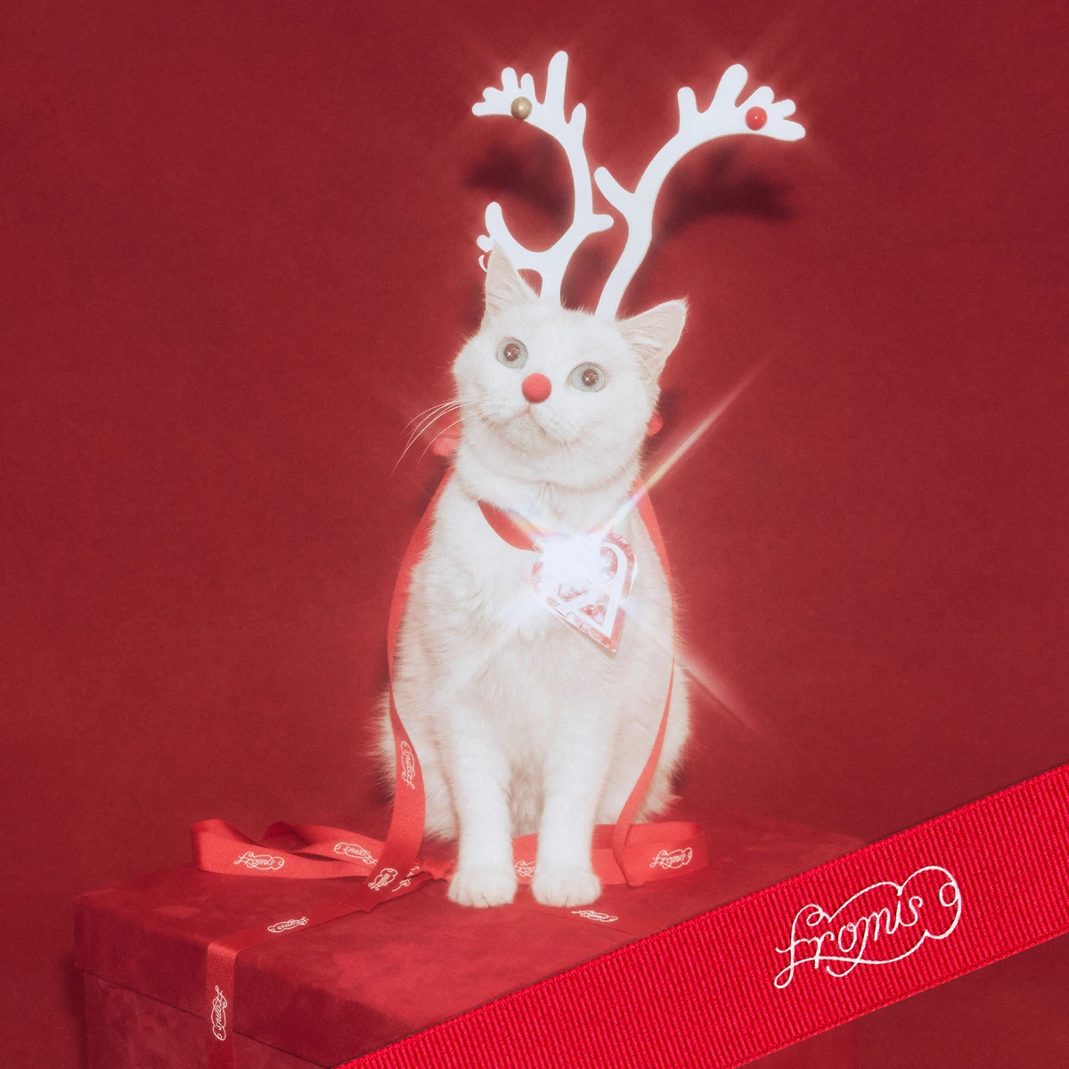 White Memories | Fromis_9 Wiki | Fandom