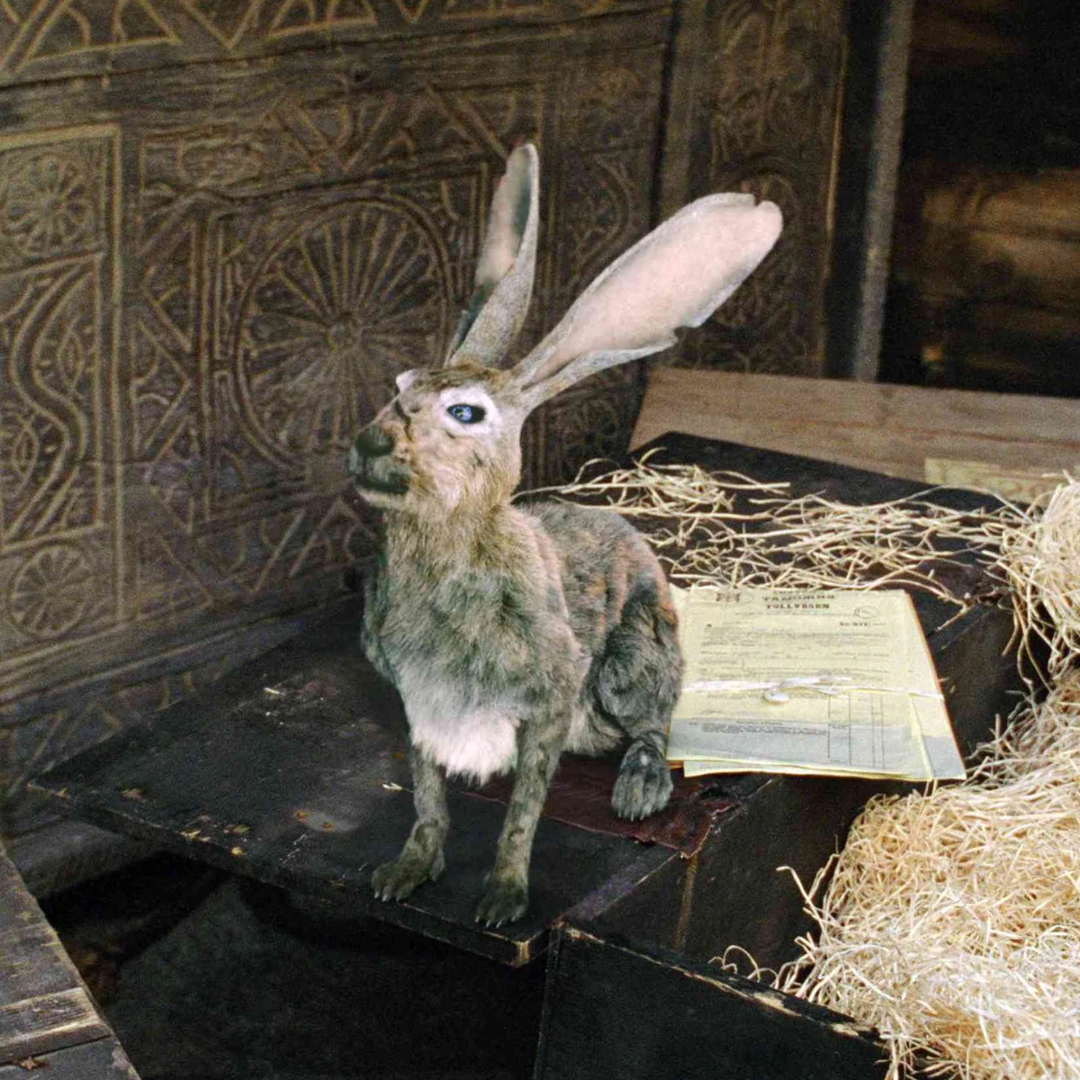 Hester | Wiki Fronteiras do Universo | Fandom