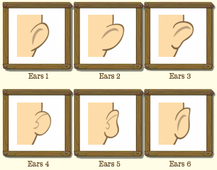 different ear shapes names