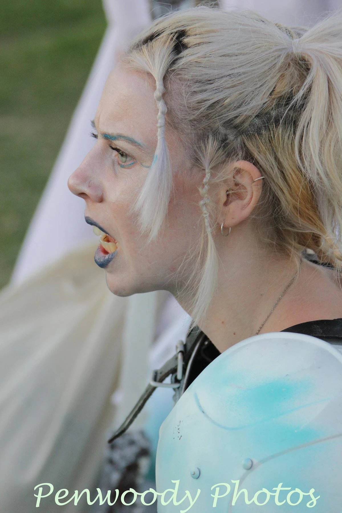 Category:Snow Elves | Frostguard Wikia | Fandom
