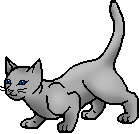 Jaypaw | FrozenClan Wiki | Fandom
