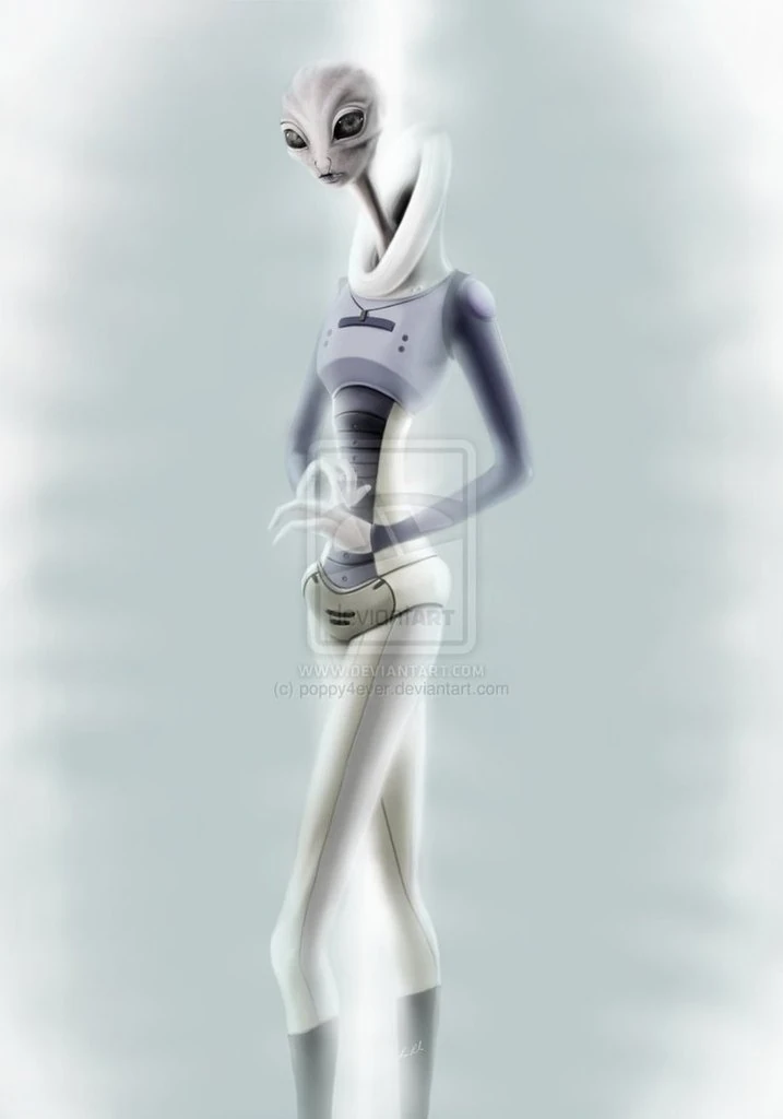 Себа'Са | New Era 3351 FRAPH wiki | Fandom