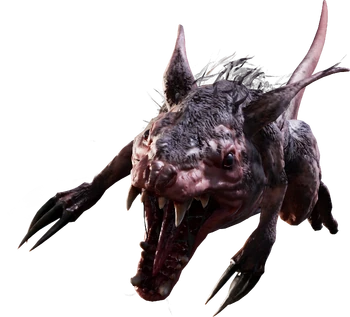 Scazz | Star Wars Wiki | Fandom