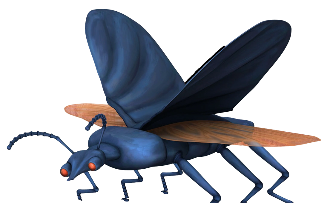 Scarabée limace | Star Wars Wiki | Fandom