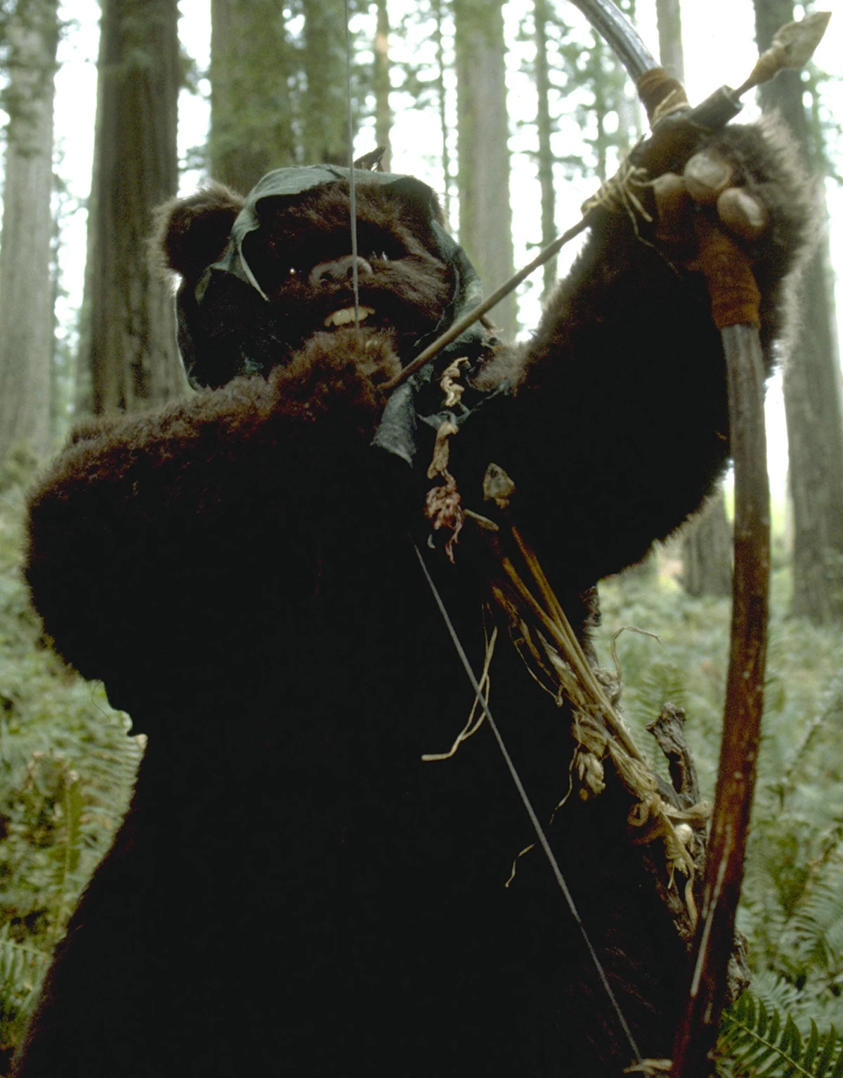 Tokkat | Star Wars Wiki | Fandom