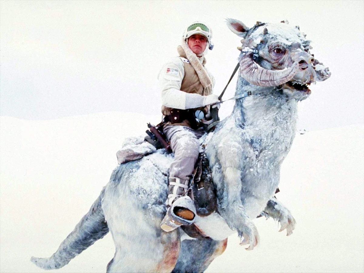 Tauntaun | Star Wars Wiki | Fandom