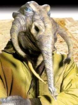 Pacithhip | Star Wars Wiki | Fandom