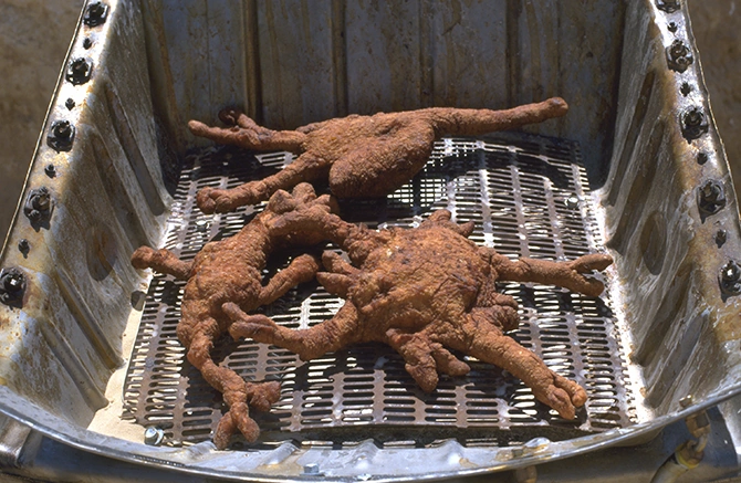 Gorg frit | Star Wars Wiki | Fandom