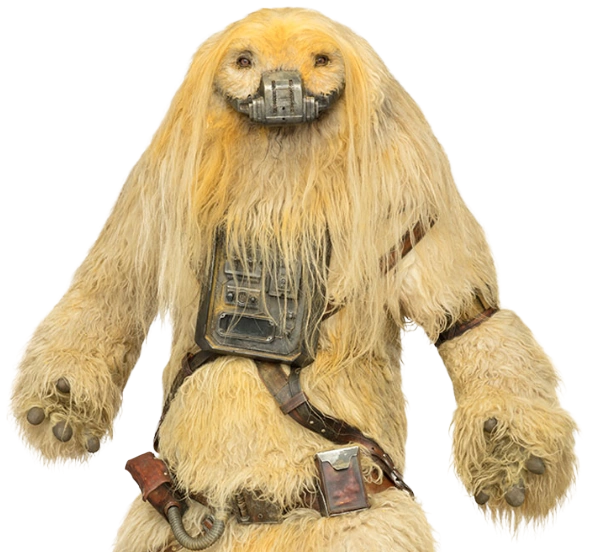 Senna | Star Wars Wiki | Fandom