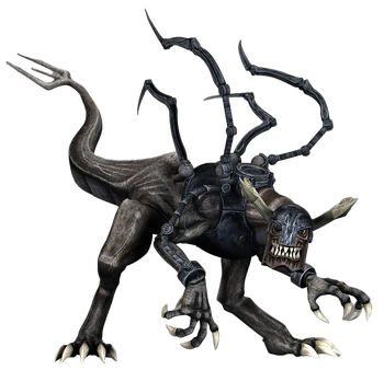 Gor | Star Wars Wiki | Fandom