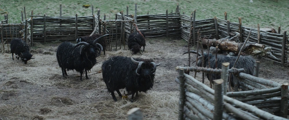 Dray | Star Wars Wiki | Fandom